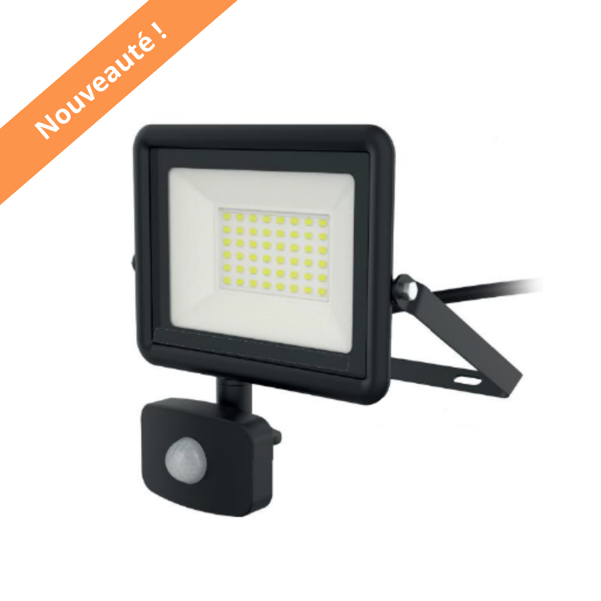 Projecteur RHINE II détection - RIB SA